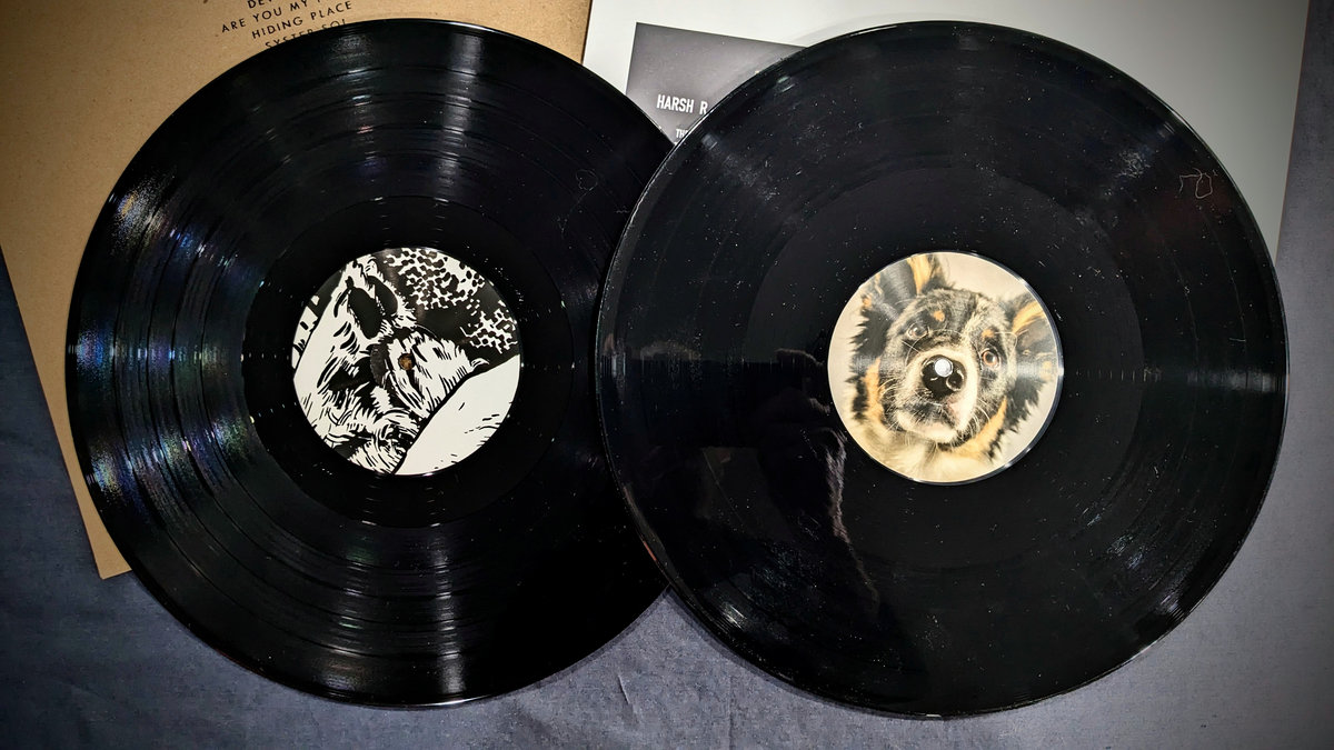 SEEK COMFORT | HARSH R