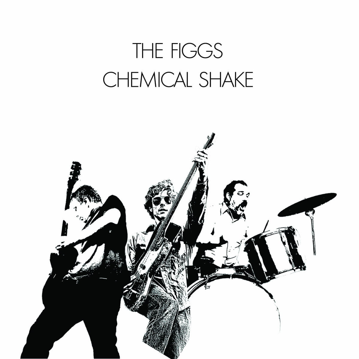 The Figgs Anthology: 1000 People Grinning | The Figgs