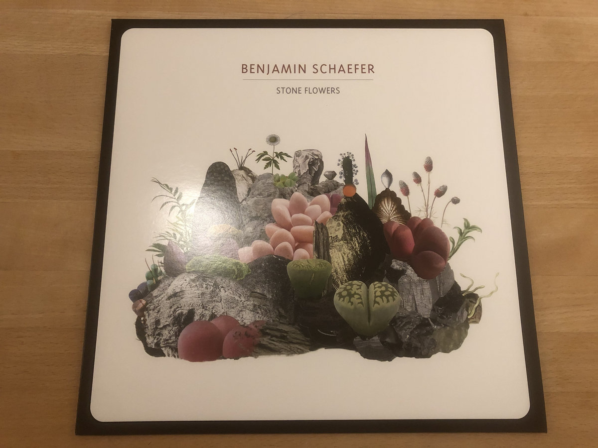 Stone Flowers | Benjamin Schaefer