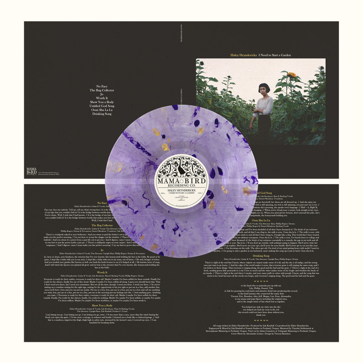 The Bug Collector | Haley Heynderickx