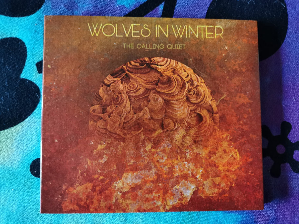 The calling quiet | Wolves In Winter. | WOLVES IN WINTER