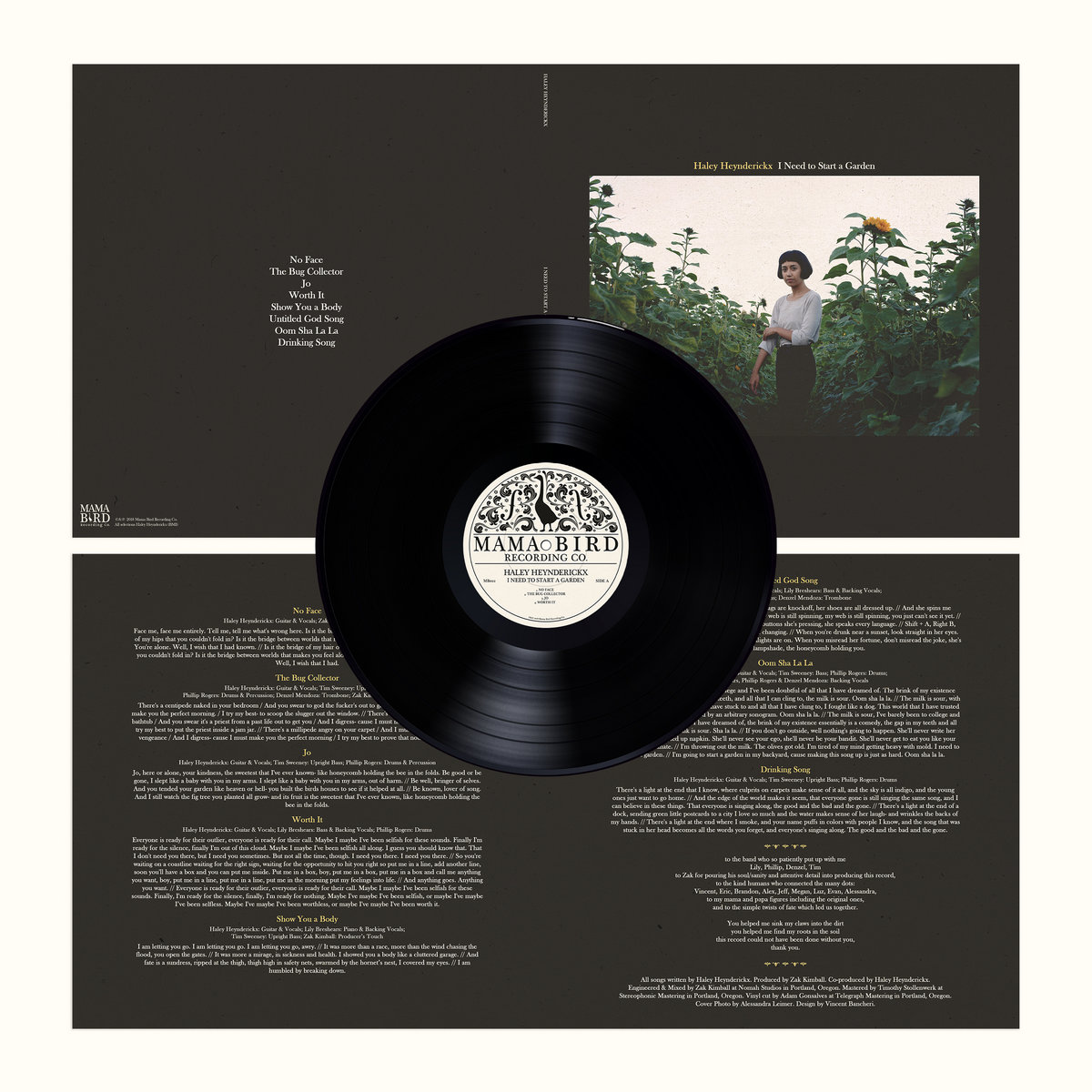 The Bug Collector | Haley Heynderickx