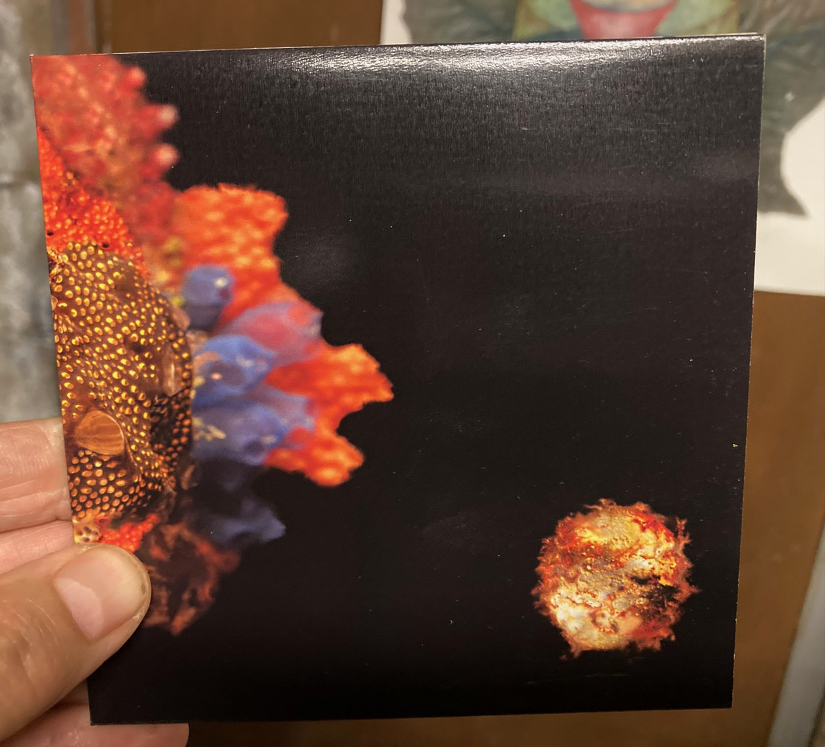 Tertium Quid | Tertium Quid | Daniel James Burke