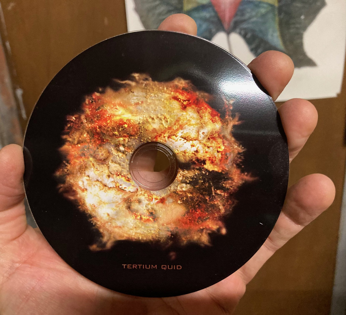 elhotrod's collection | Bandcamp