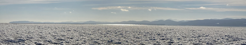 Music | Forrest Gardner