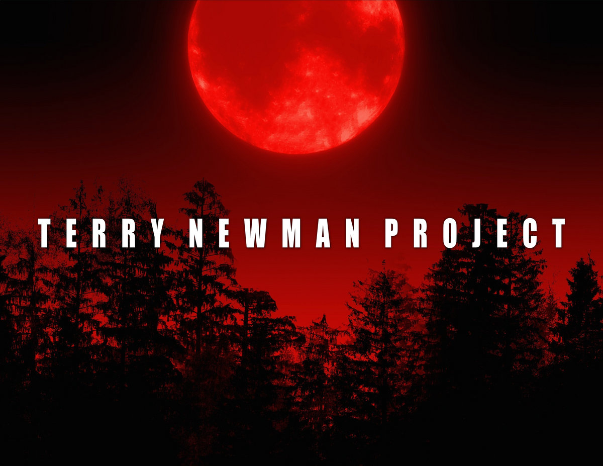 Walk Me Through The Fire | Terry Newman Project