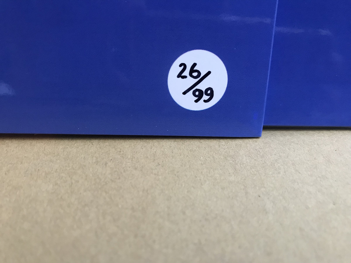 Who Is She? Very Limited Edition 12" Vinyl EP | I Monster