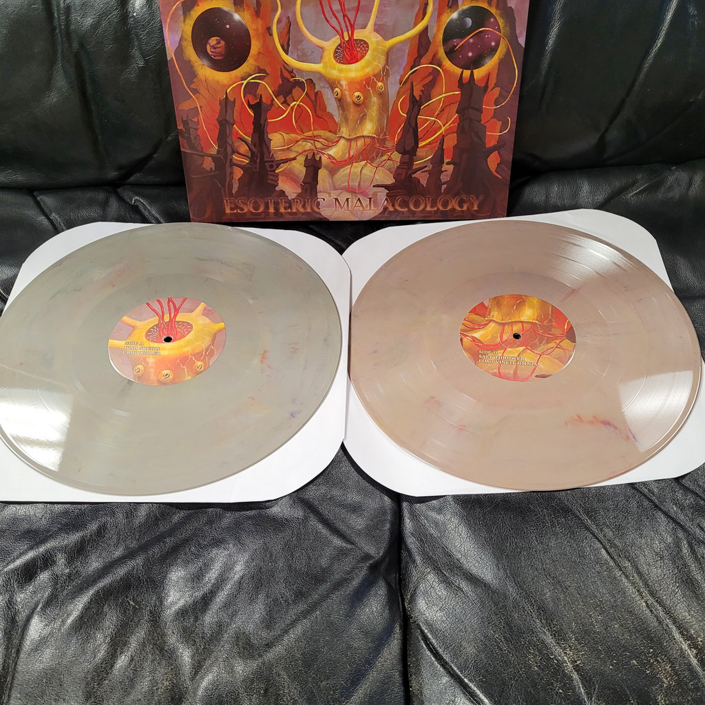 Slugdge’s Mollusk-Based Metal Examines a World on the Brink of Collapse ...