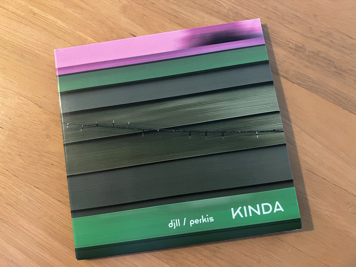 KINDA (ART 3018, 2023) | Tim Perkis & Tom Djll | Artifact Recordings