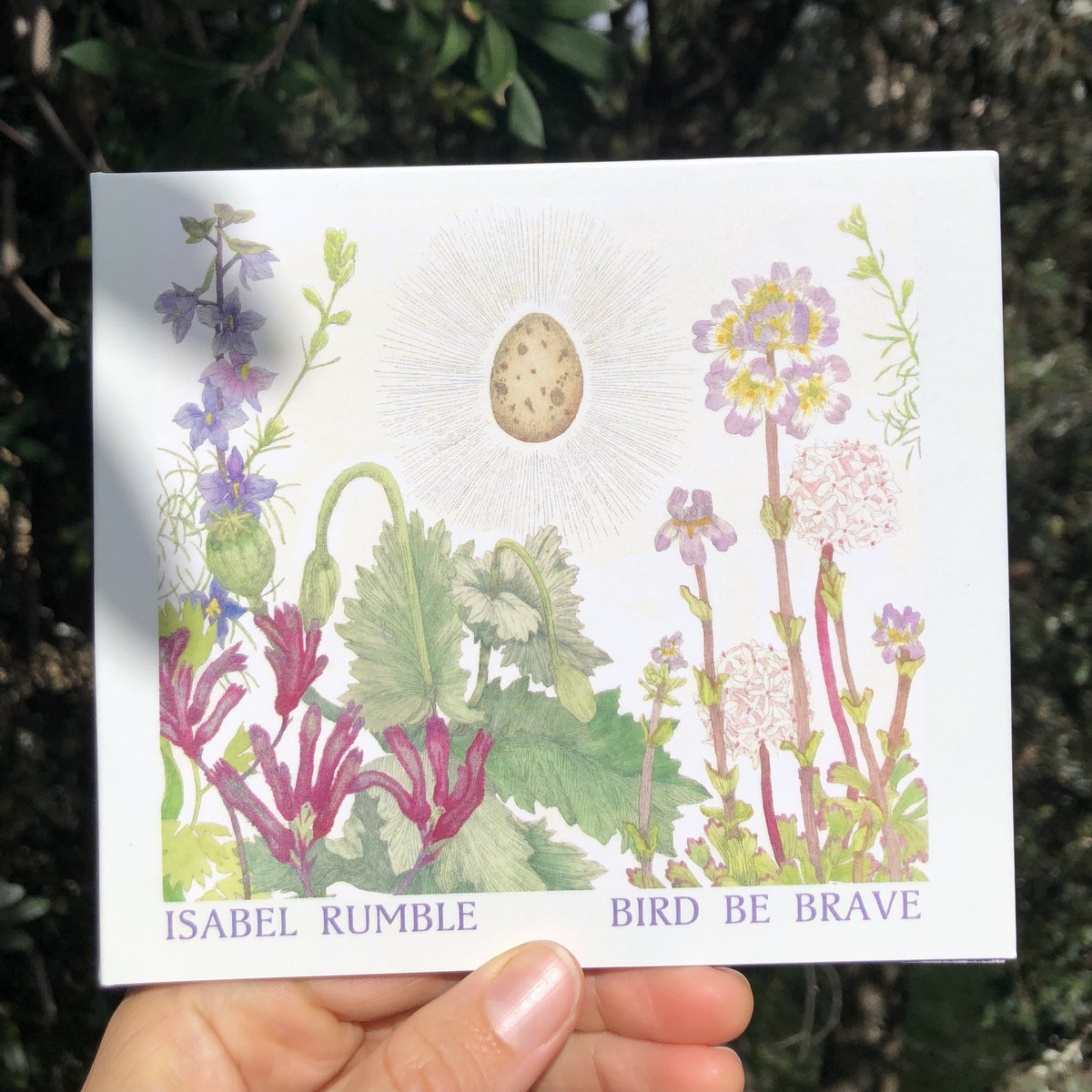 Bird Be Brave | Isabel Rumble