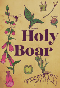 Music | Holy Boar