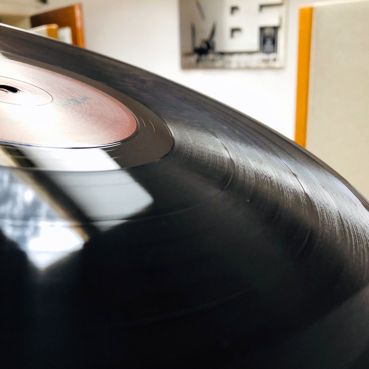 Lights Out | The MFA