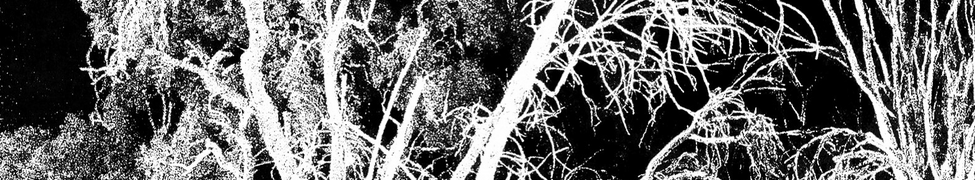 Music | Ishjerte Black Metal