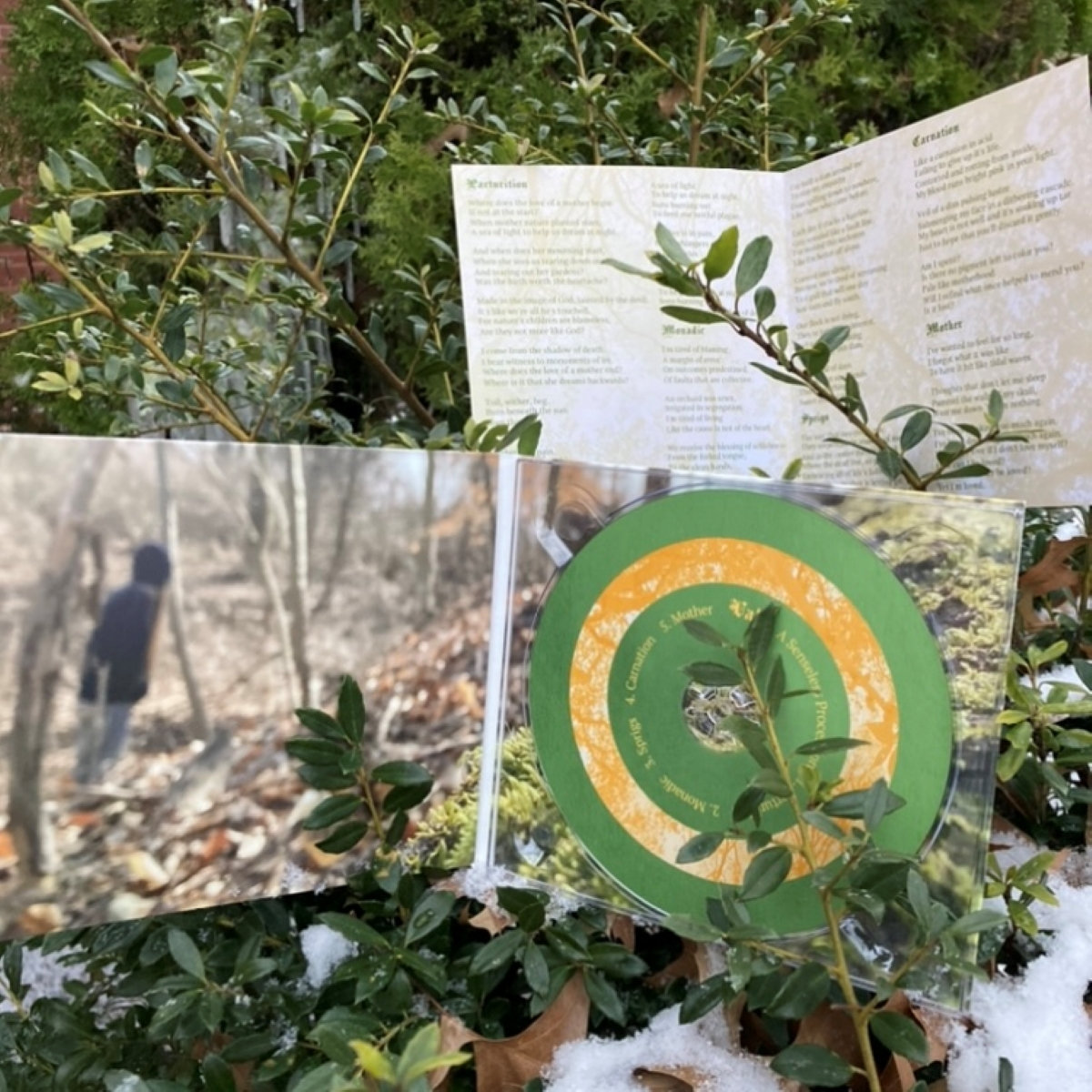 A Senseless Procession | Vale