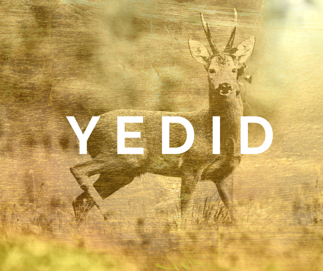 In the Temple | YEDID