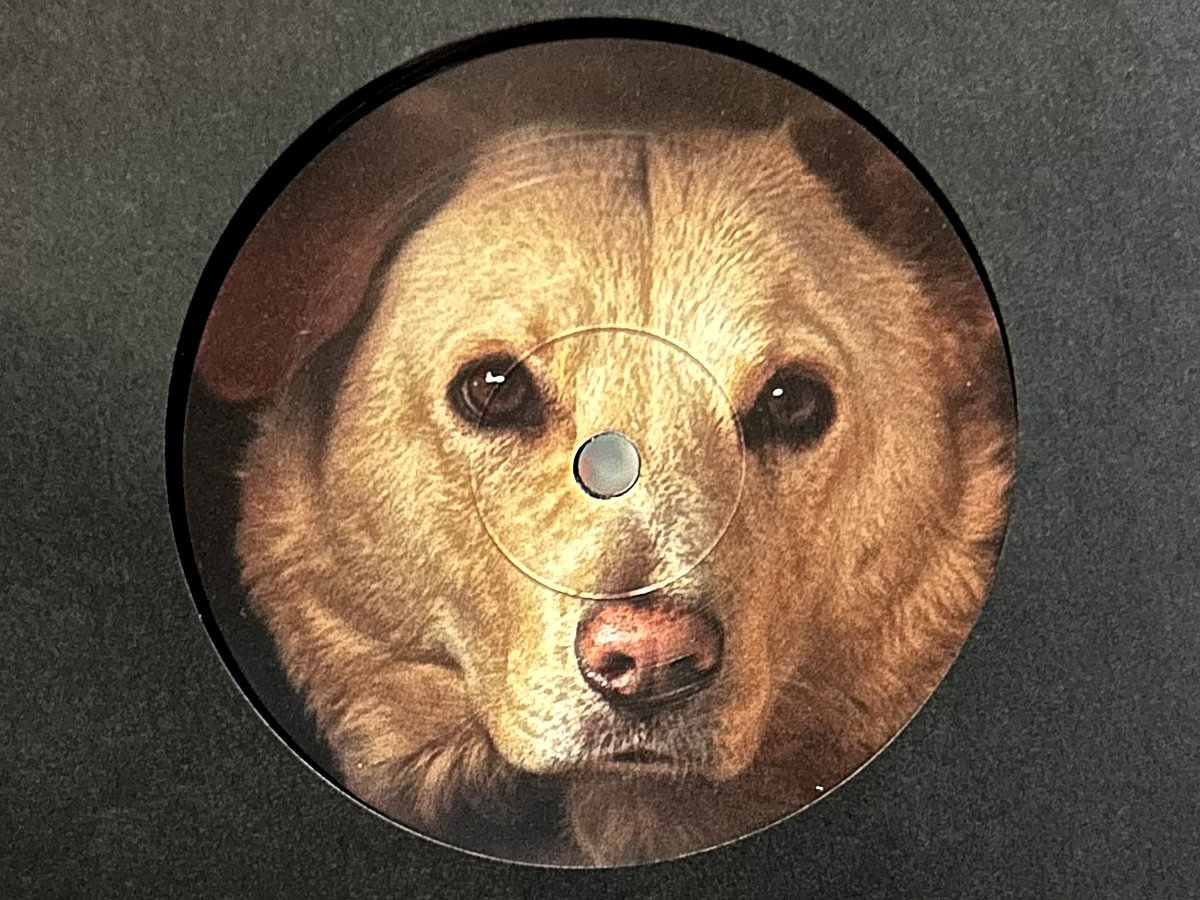 Don't Ever Let Me Know | Colin Andrew Sheffield