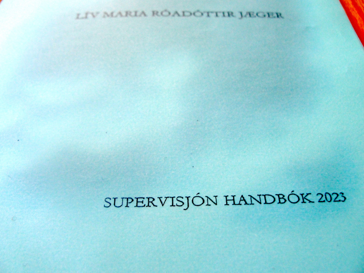 WICKED FYSIKK | Lív Maria Róadóttir Jæger | SUPERVISJÓN