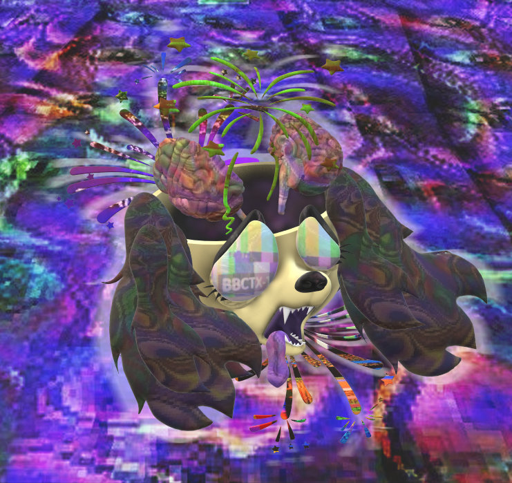 Arbitrary Interference | SUGAZ