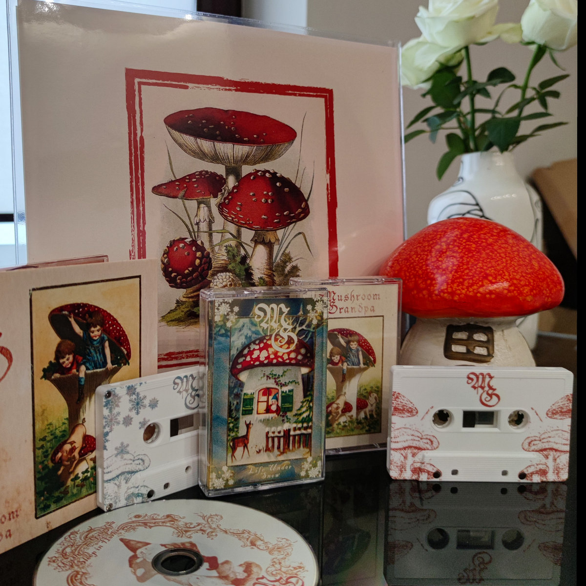 Advice from a Caterpillar | Mushroom Grandpa | Black Casket Records