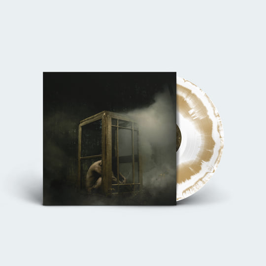 Terminal Vinyl Group