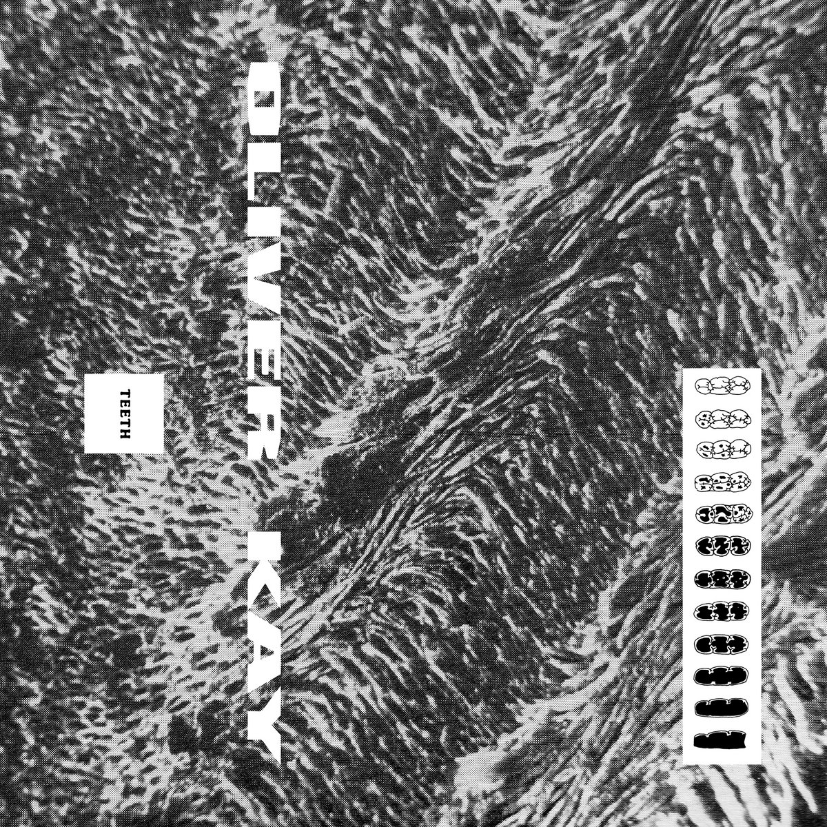 TEETH002 | OLIVER KAY | TEETH