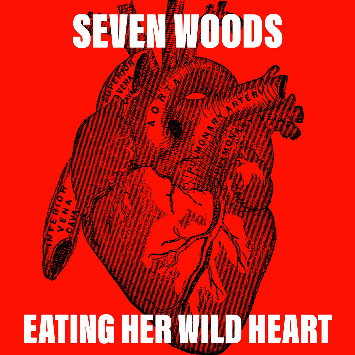 Music | Seven Woods