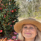 Way Back When | Anadama