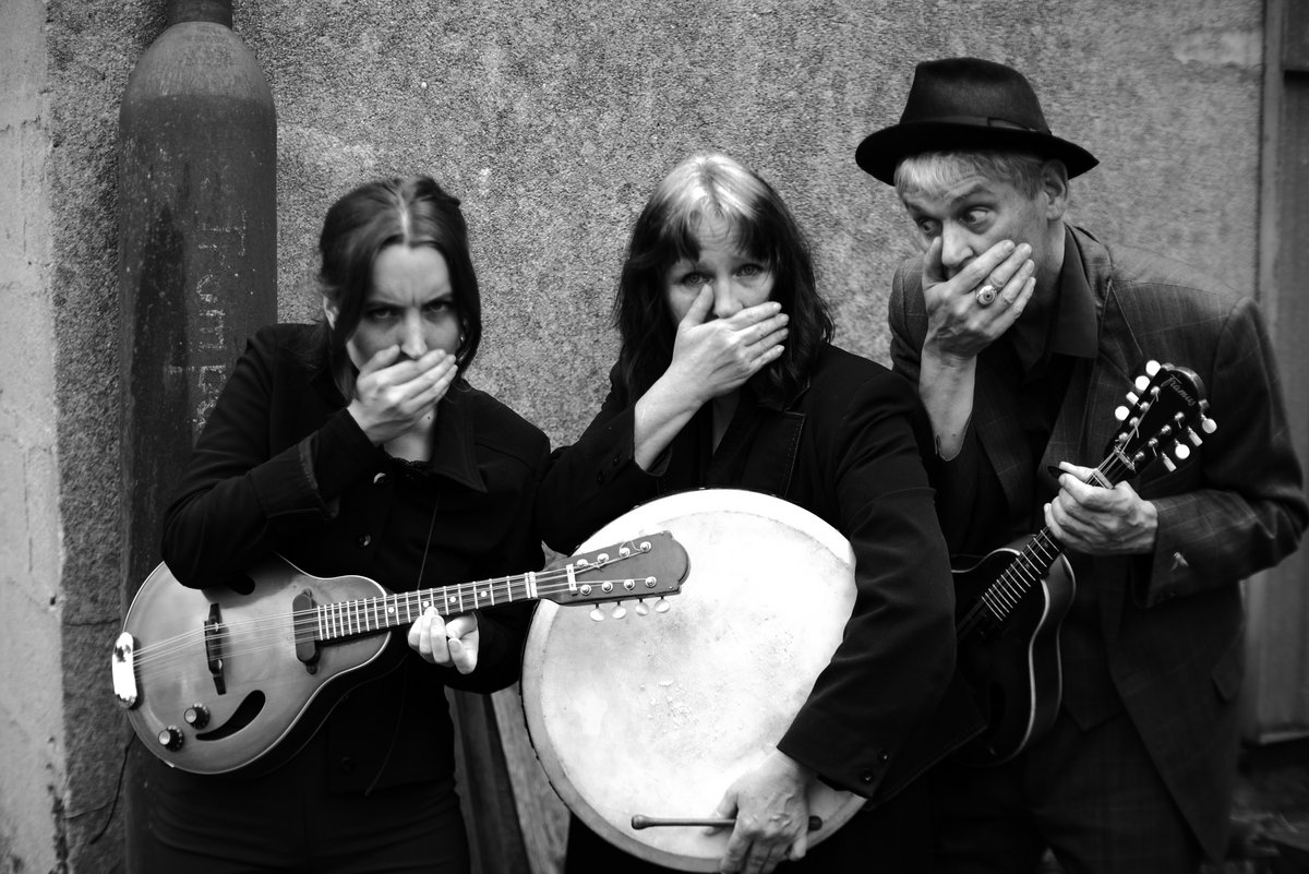 500 Animals | The Shiels