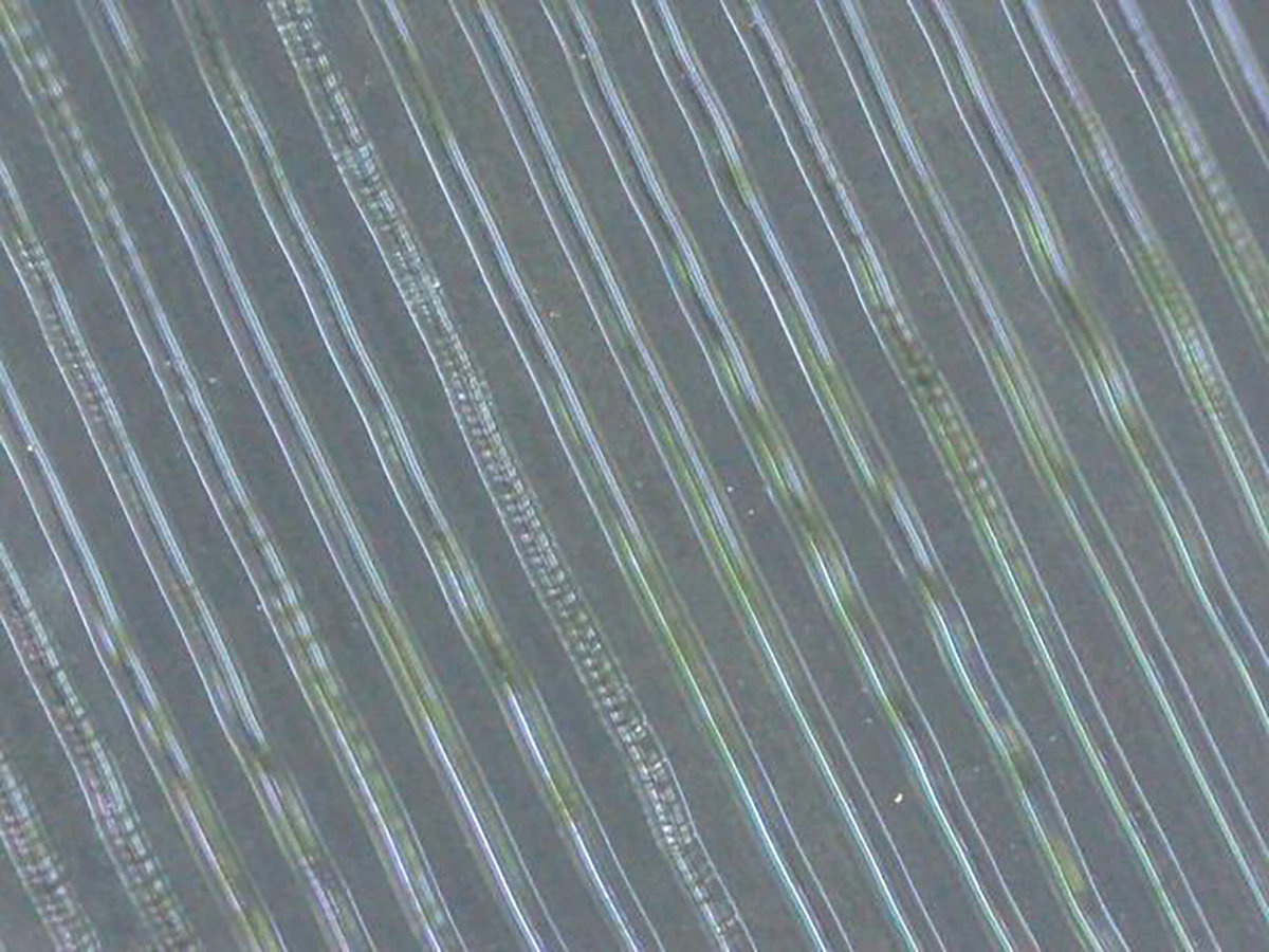 Dispatch Blueprints 009 | Method One | Dispatch Recordings