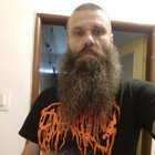 Congregation Of Flesh | Digested Flesh