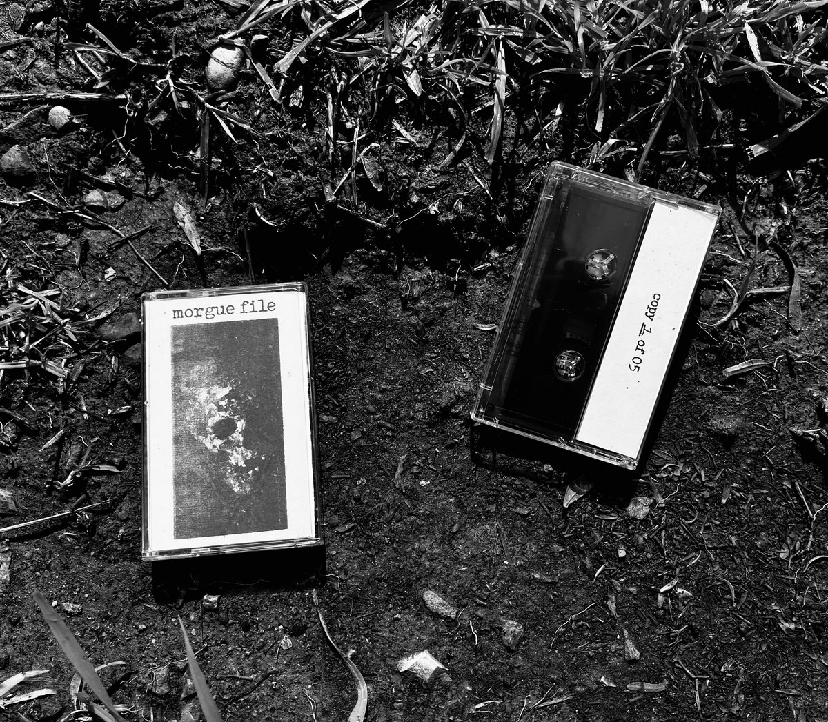 05 - 08 | Morgue File