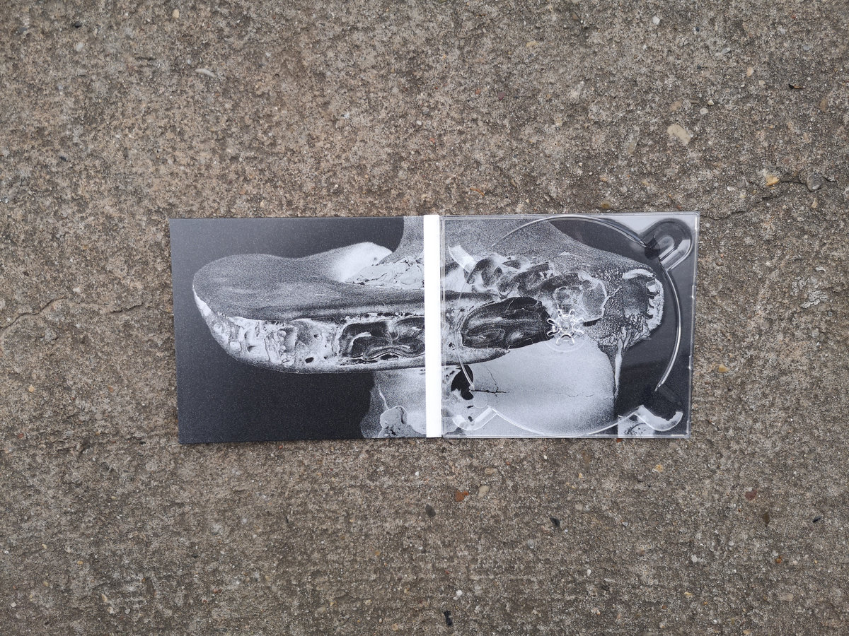 The Cosmic Memoirs Of The Late Great Rupert J. Rosinthrope | Shifted ...