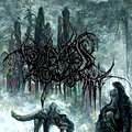 Streams of Rot | Formless Oedon
