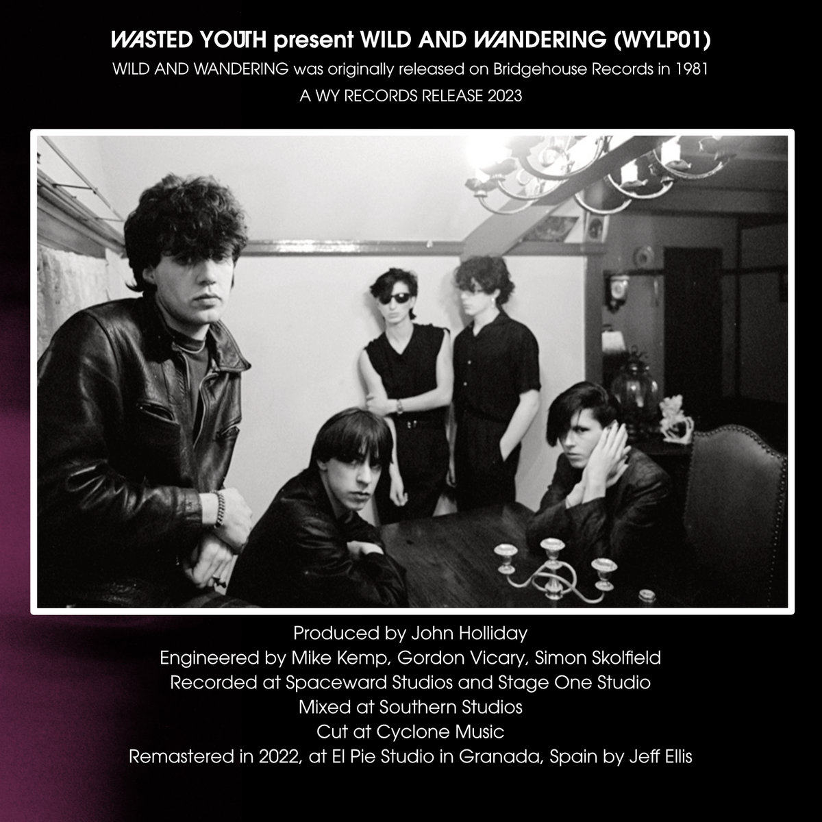 Wild and Wandering (2022 Remaster) | WASTED YOUTH