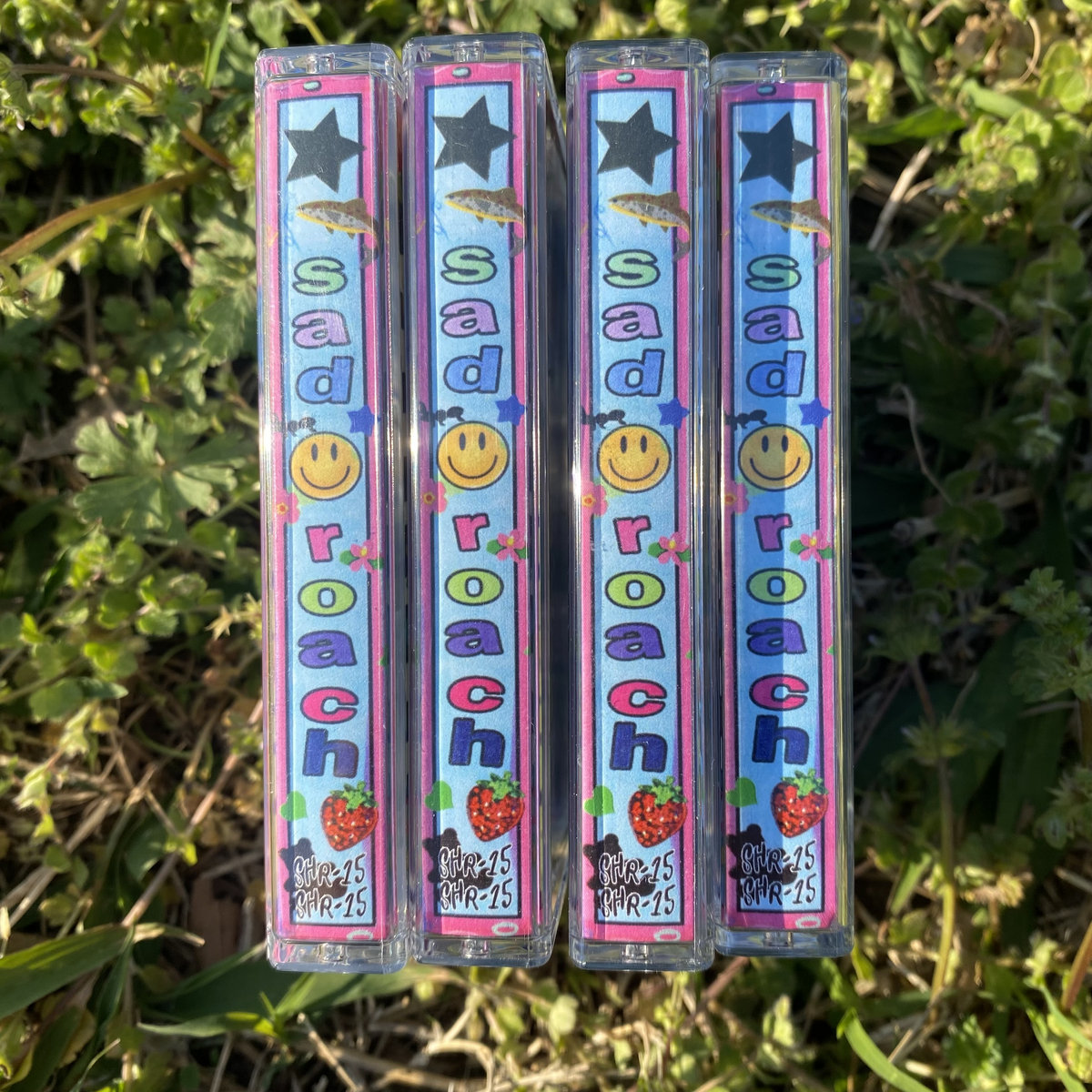 Fabricated Complexities | Sad Roach | Sockhead Records