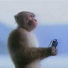 melanchole (remaster) | salvia palth