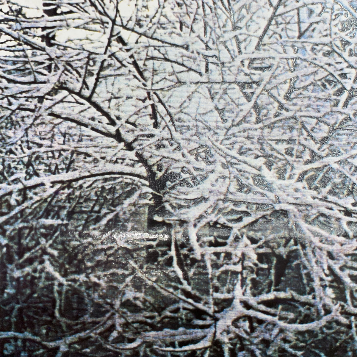 Invisible | Invisible