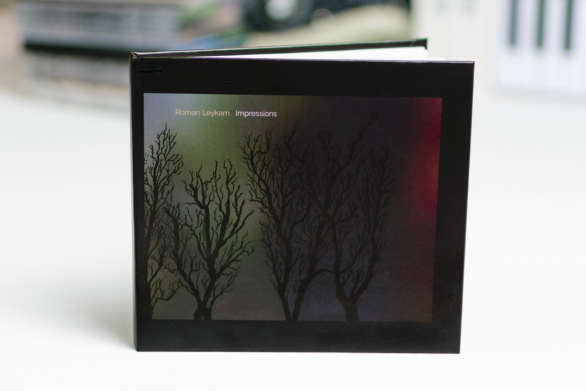 Impressions | Roman Leykam | Frank Mark Arts