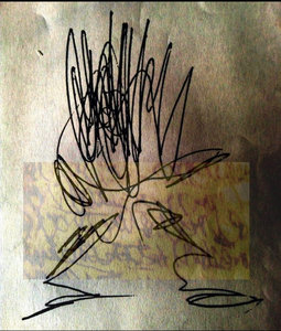 Music | The Incendiary Pigs