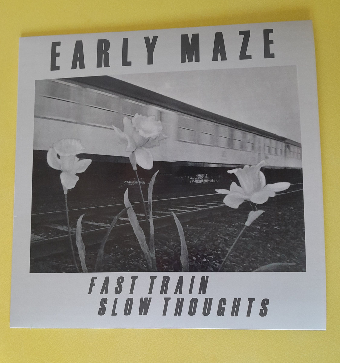 Fast Train, Slow Thoughts | early maze