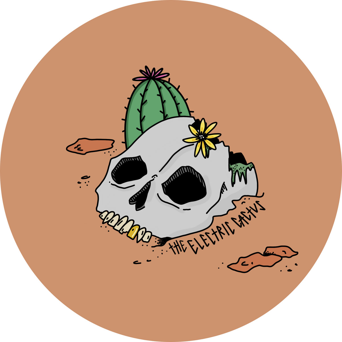 The Electric Cactus | The Electric Cactus