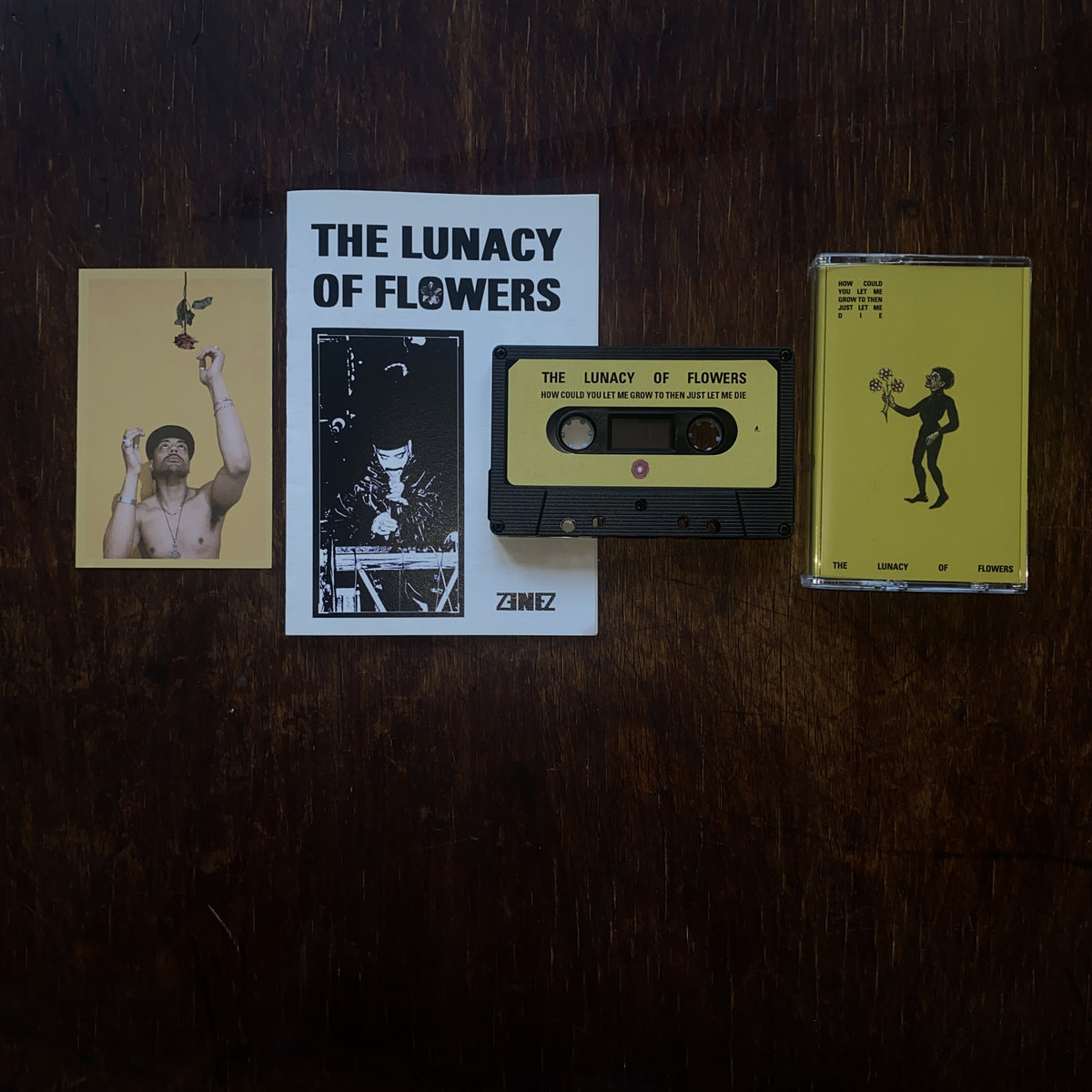 I Still See You | The Lunacy Of Flowers