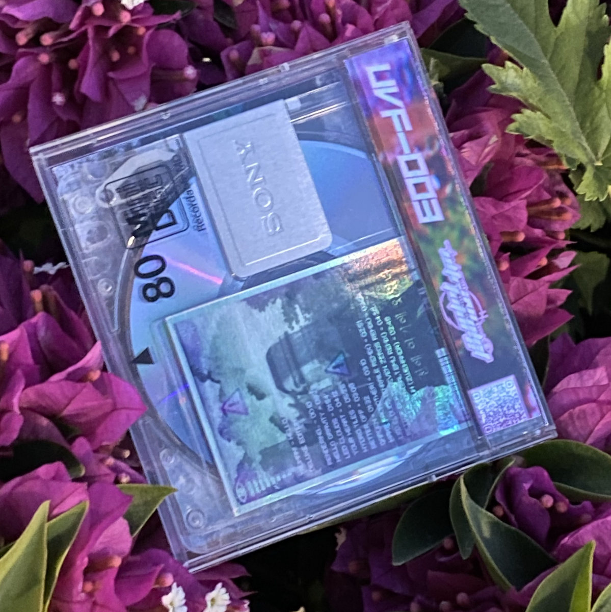 hello gravity! 떨어지는 (Deluxe Edition) | TRUMAN!