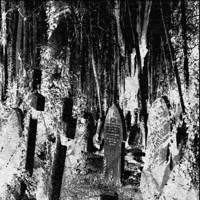 Sploodge (A mysterious liquid in your Walls, Complimented by Blood ...