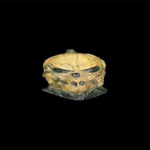 Music | digital fossils