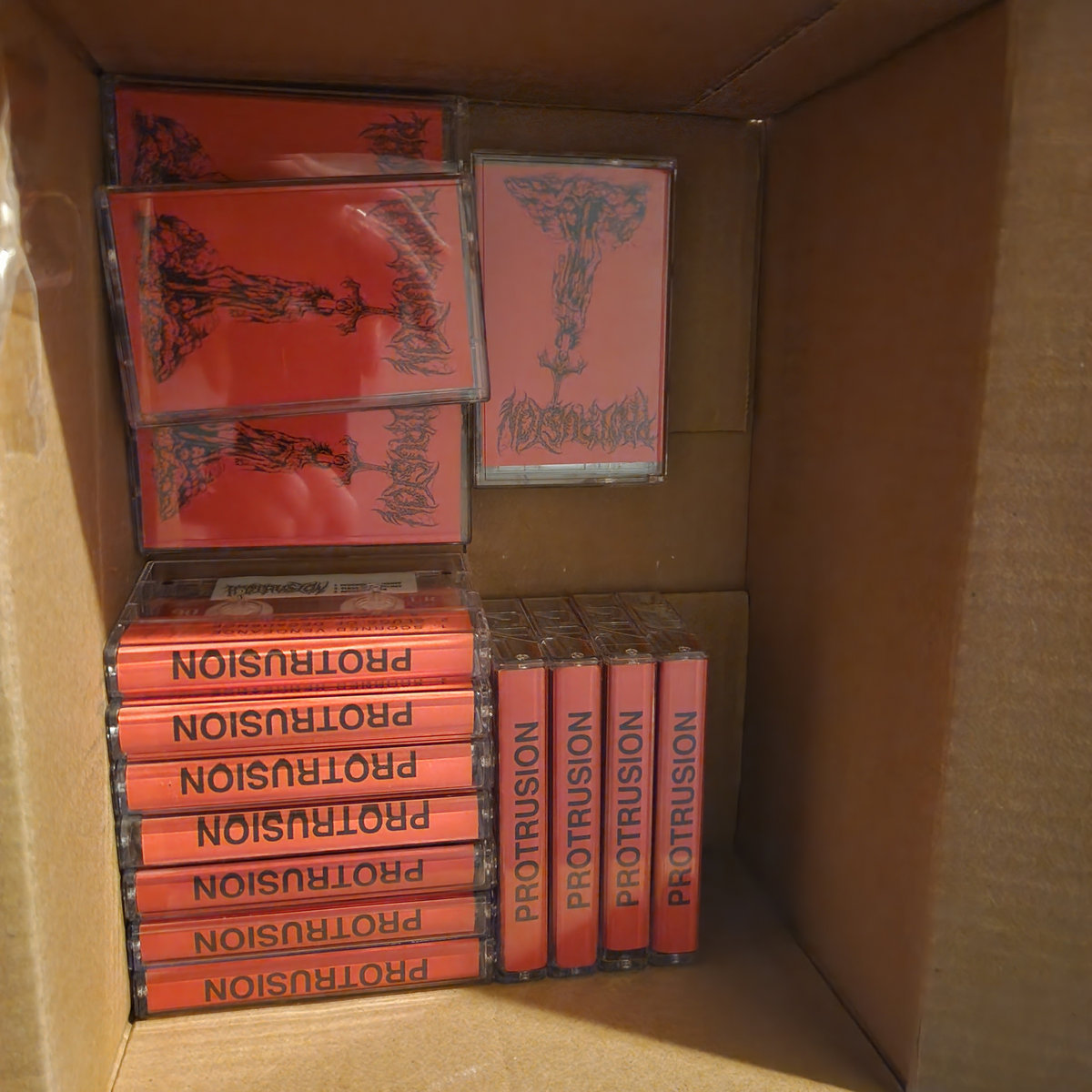 Protrusion Demo | Protrusion