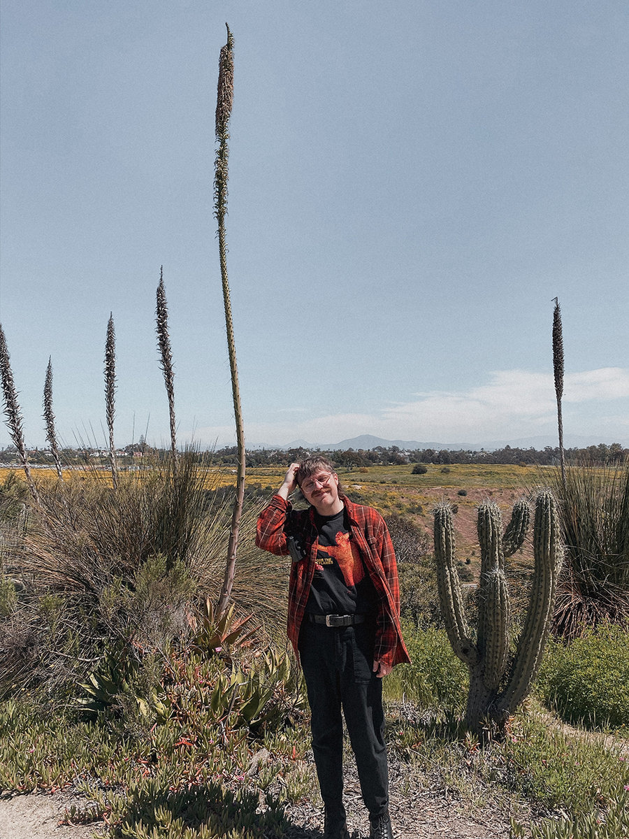 coal flower | coal flower