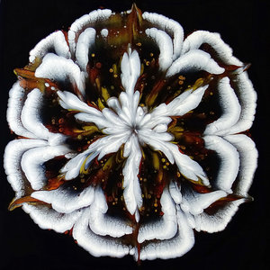 Music | Teddy Fowler