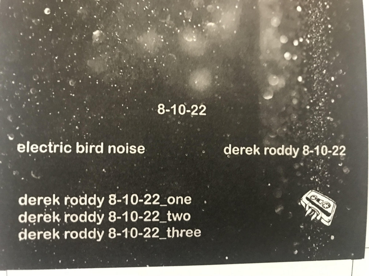 derek roddy 8-10-22 | electric bird noise