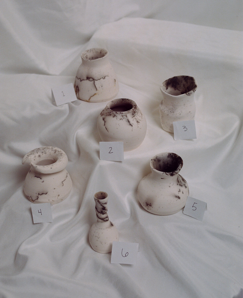 The Living Collection | Lesley Mok